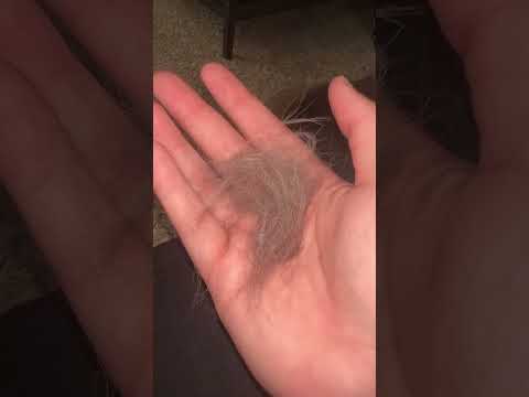 This pet grooming tool is so easy to use to eliminate unwanted hair! It has a $5 off coupon right