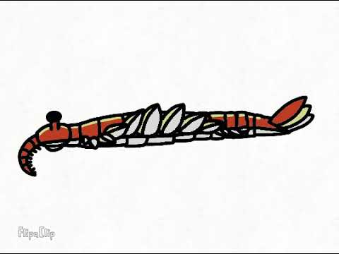 Anomalocaris swim cycle