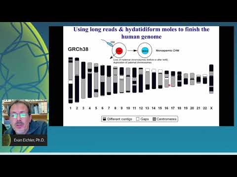 Telomere-to-telomere sequencing and evolution of complex regions of the human genome