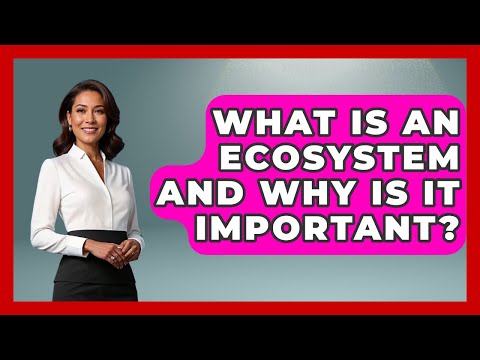 What Is An Ecosystem And Why Is It Important? - International Policy Zone