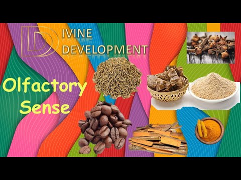 Olfactory Sense, Smell sense SI , Calming smell to soothe or relax