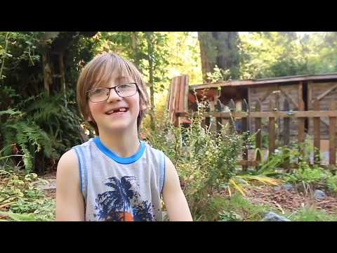 Meet our Animals-Mini Farm