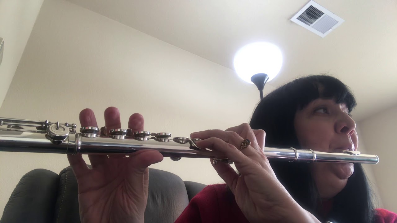 Hire Flute and Piccolo Performer & Instructor - Flute Player in ...