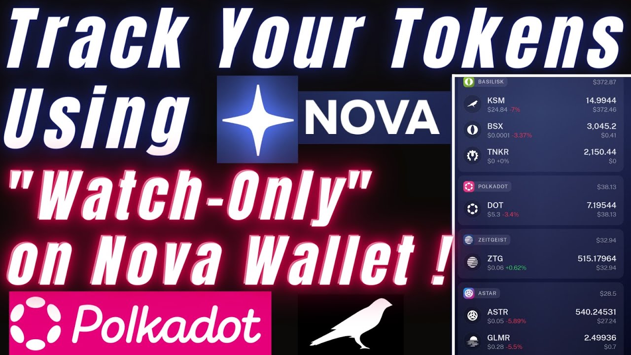Track Your Polkadot & Kusama Tokens Using Watch-Only Wallet on Nova Wallet !