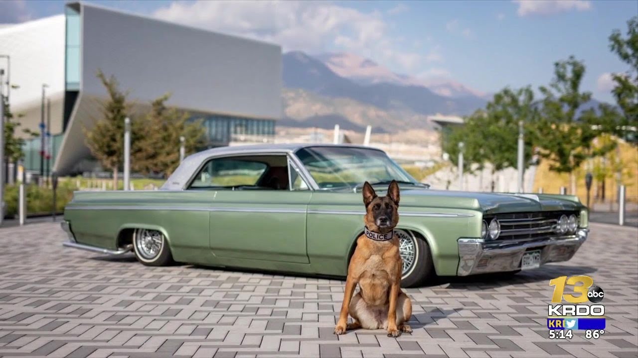 Celebrating the women of CSPD on National Police Women’s Day