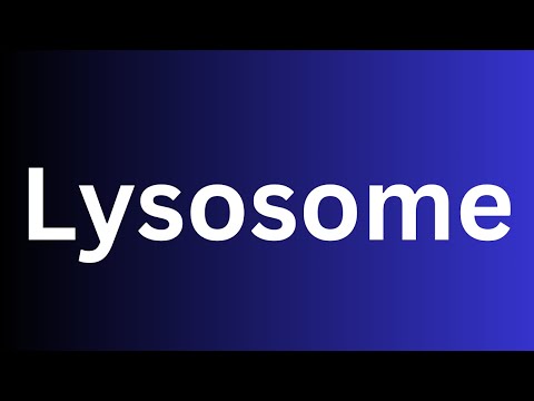 How to pronounce Lysosome perfectly? How to say Lysosome? How to speak Lysosome?