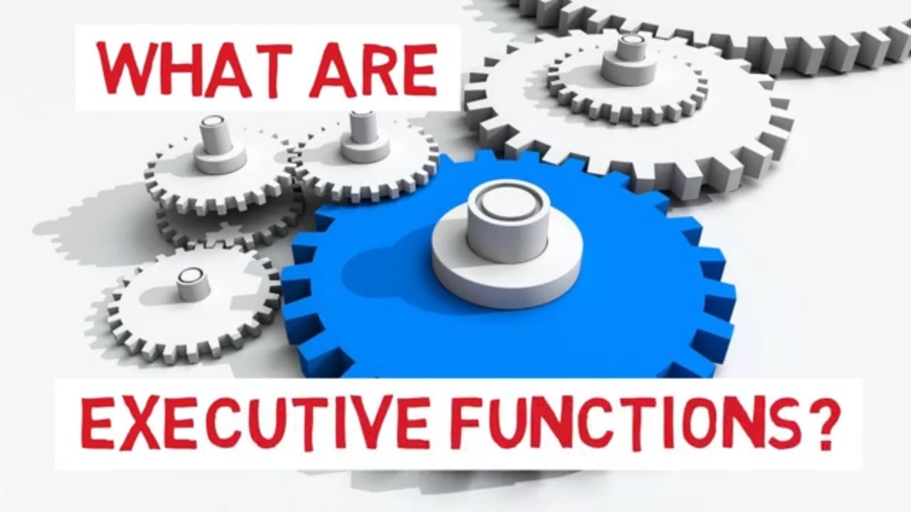 What are Executive Functions in Autism?