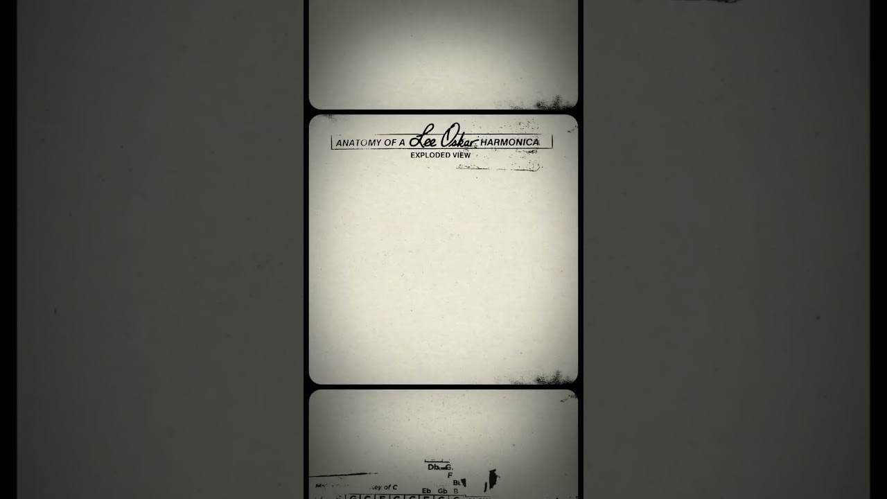 Mick Jagger x Lee Oskar Harmonicas