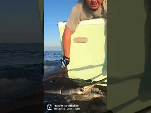 BLUE MARLIN ON THE FLY!!! Huge congratulations to Ty for his first ever Marlin on the Fly!