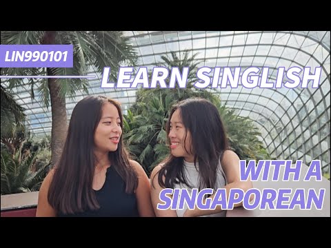 SG - VLOG 7 | Top 5 Singaporean Slangs You Need to Know! (Ft. Huiyu) | LIN990101