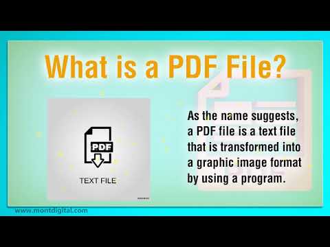 What Does PDF Stand For | PDF Meaning