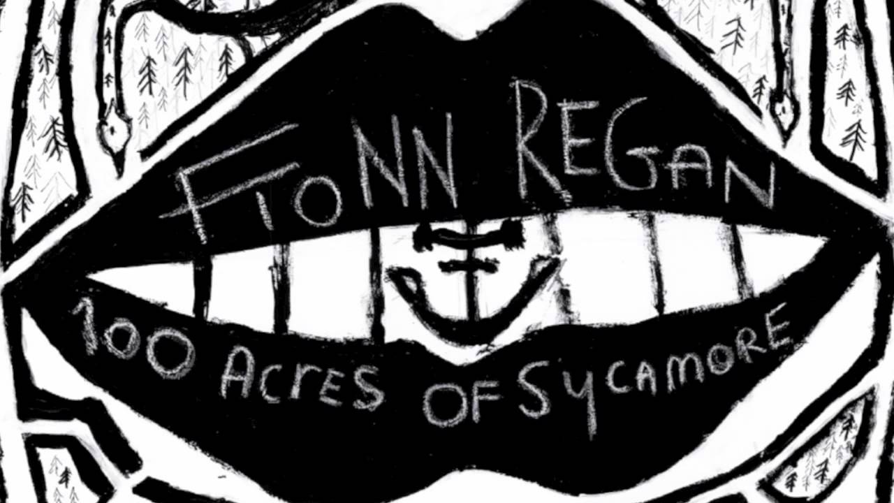 Fionn Regan - Dogwood Blossom