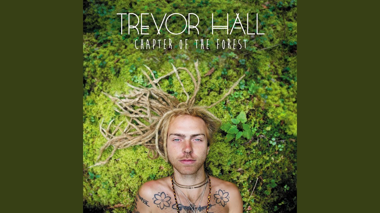 Chapter Of The Forest