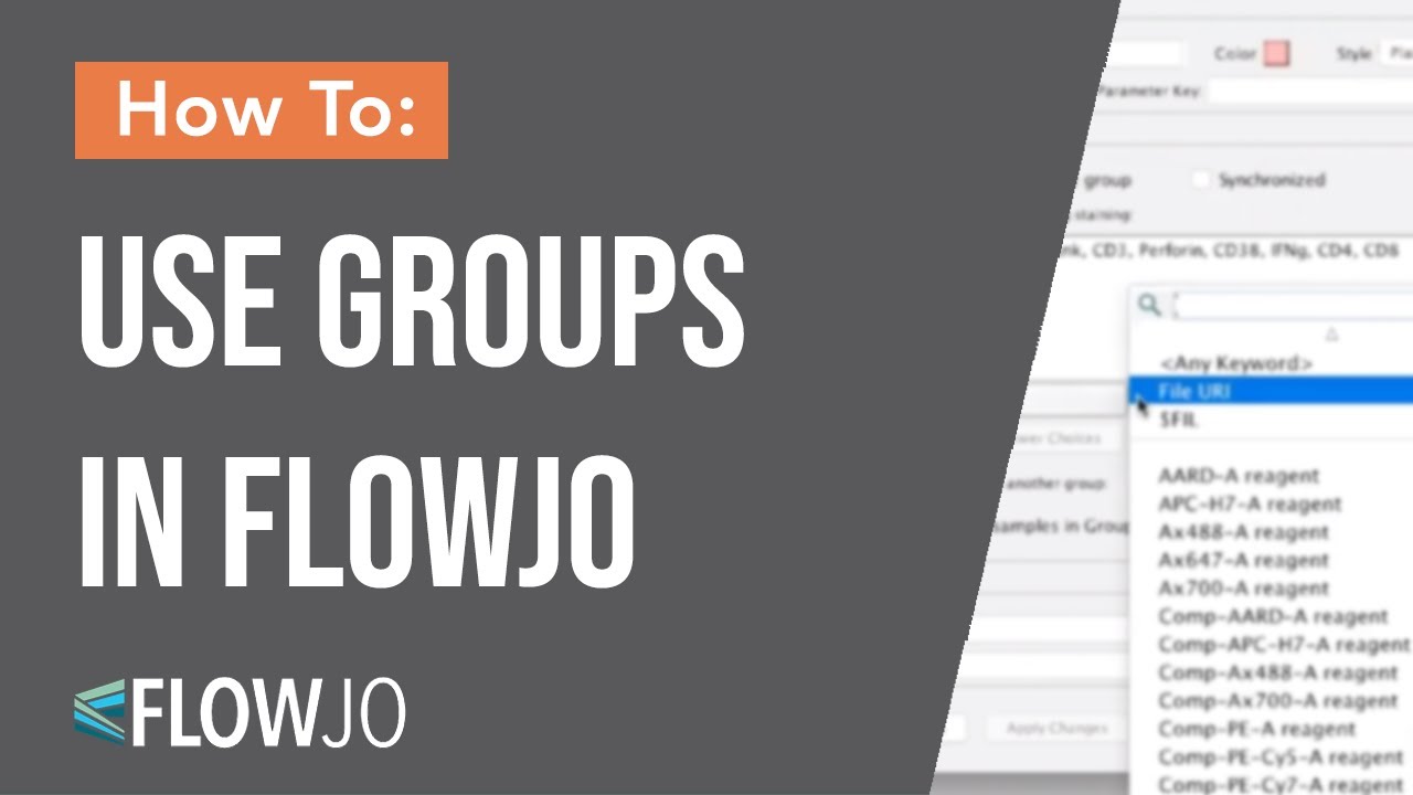How to use Groups in FlowJo