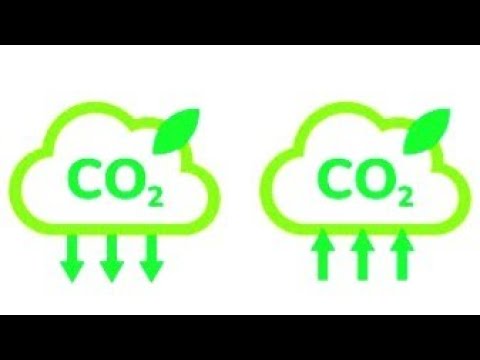 Carbon Neutrality | CO2 Emission | Sustainability | Climate Change | Tamil | Engineers View