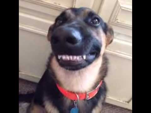 Smile #comedy #lol #funny #myflooriswetaf #imadeamess #Crazy #Vine #Vines #Gif #Gifs Gif gifs Vine V