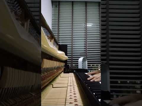 Steinway Essex upright piano after tuning (2)