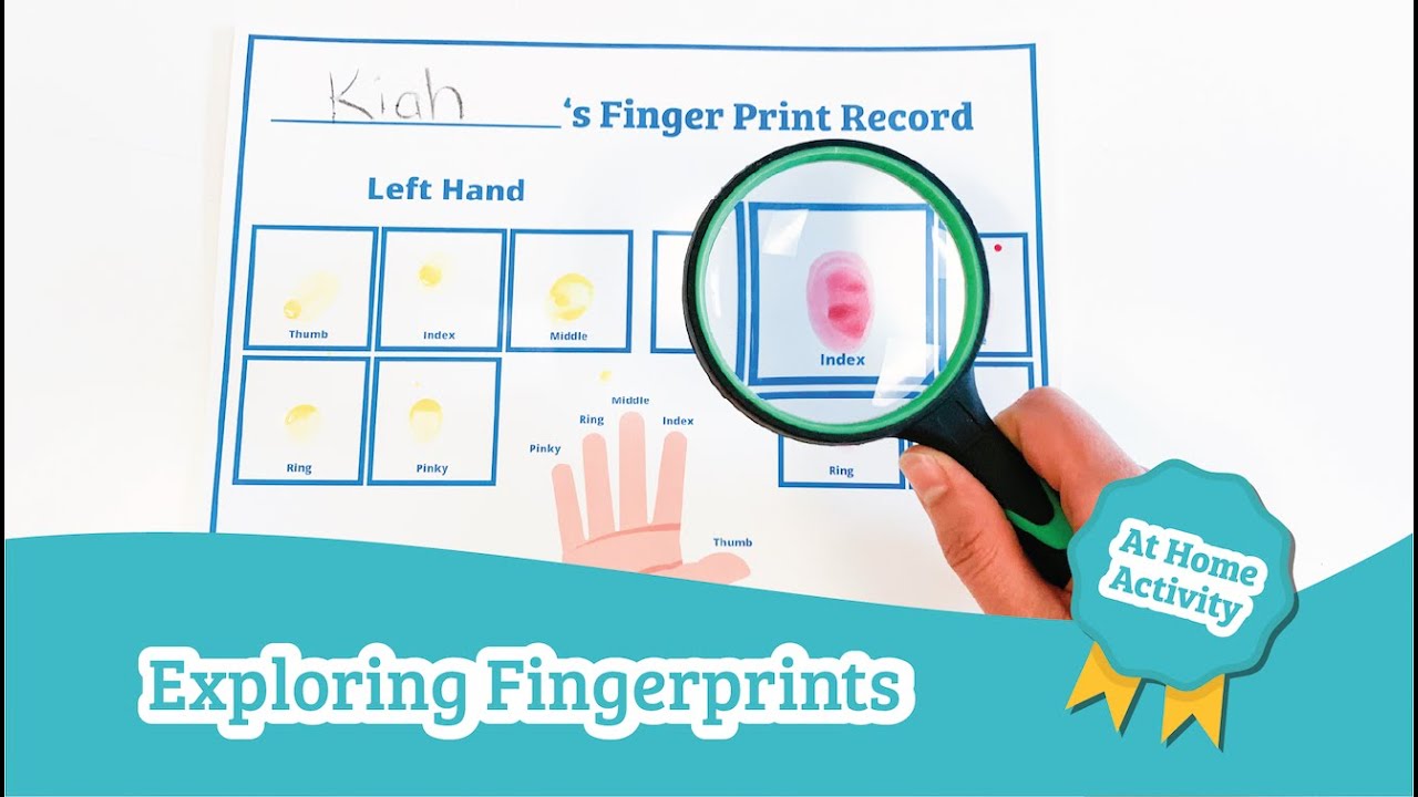 Exploring Fingerprints | Daycare Activities