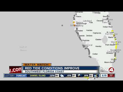 Tests find no red tide in Southwest Florida