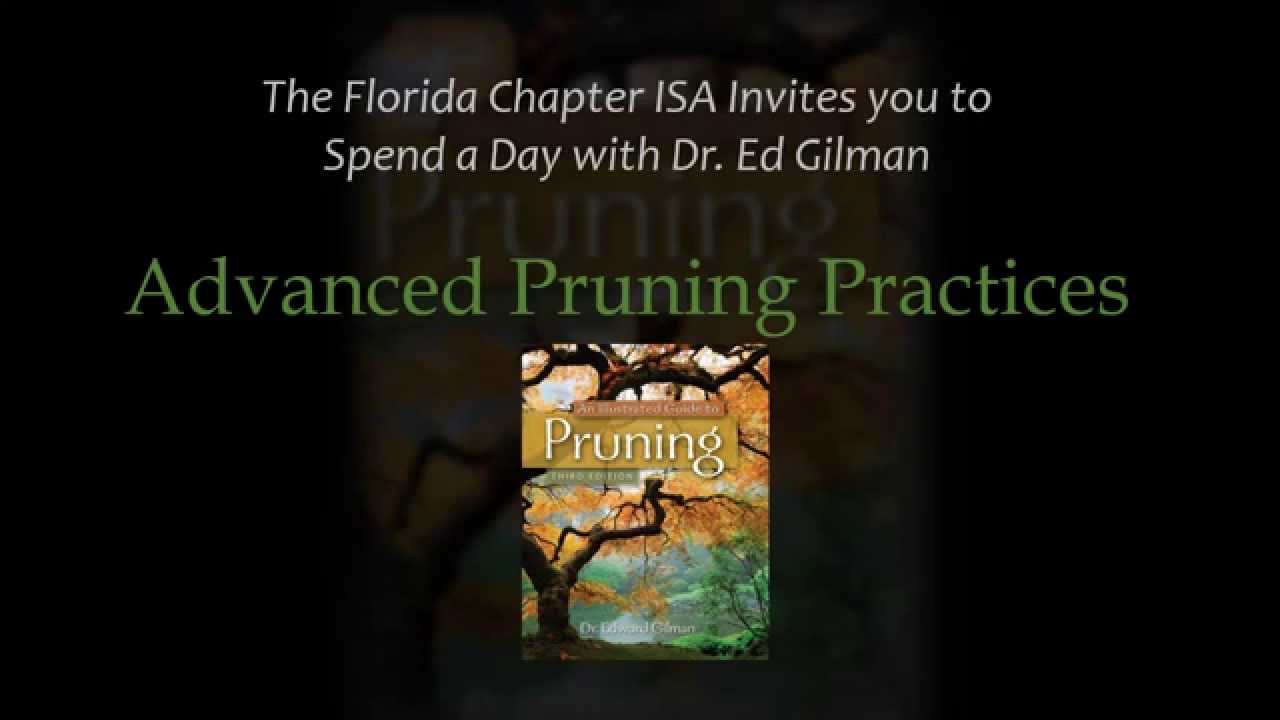 Advanced Pruning 2014