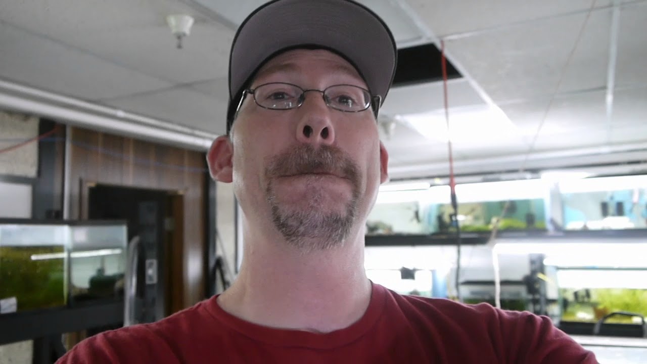 New breeding project