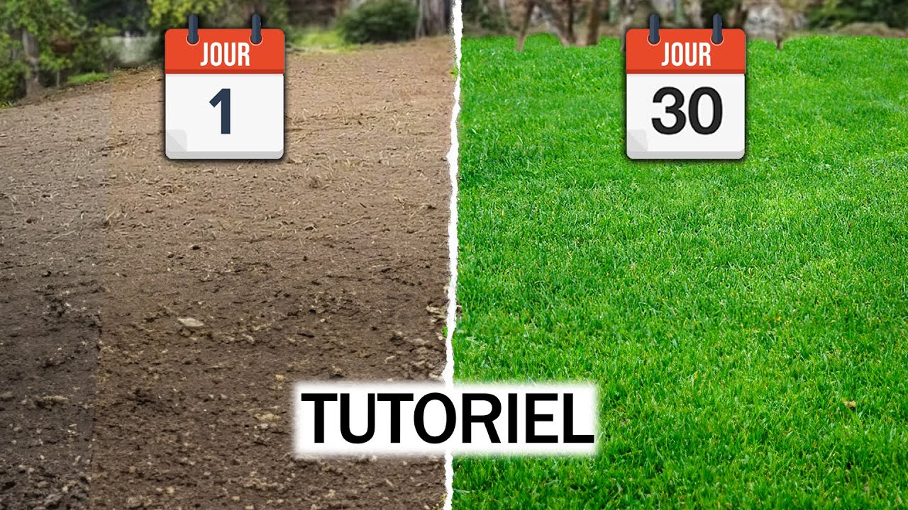 Comment Semer un Gazon? TUTORIEL Débutant + les ERREURS à Fuirrr !!