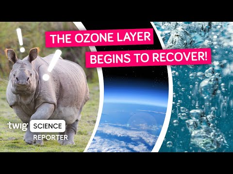 What’s the Future of the Earth’s Ozone Layer? | Twig Science Reporter