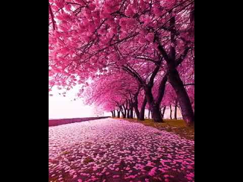 Paisajes hermosos #naturaleza #mundo #world