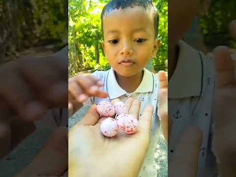Funny video of three cute children chocolate with candy🥺‼️#shorts #TrendingOnShorts