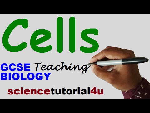 CELLS (Animal & Plant cells) GCSE BIOLOGY SCIENCE