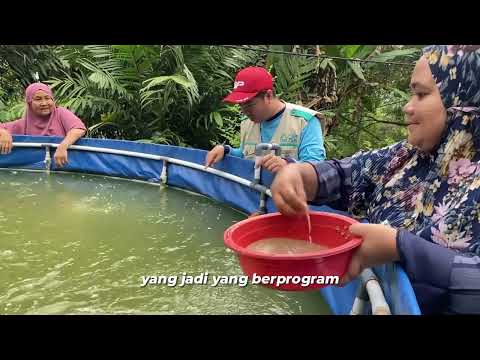 Program Perikanan Darat: Meningkatkan Kesejahteraan melalui Budidaya Ikan di Daratan