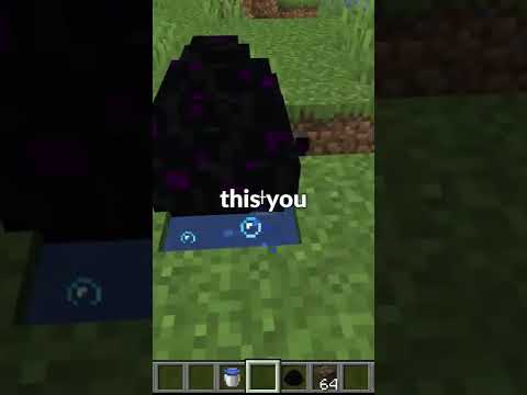 Minecraft dragon egg secret feature...