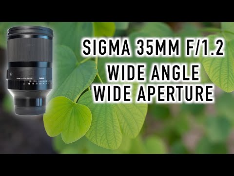 Sigma 35mm f/1.2 DG DN Art: Stellar image quality