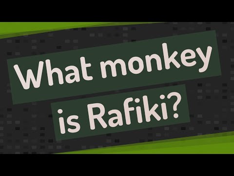 What monkey is Rafiki?
