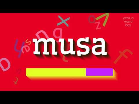 How to say "musa"! (High Quality Voices)