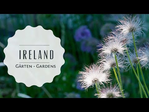Gärten in Irland - Gardens in Ireland