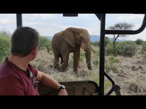 Mbazo Lodge in Pilanesberg - experience of a lifetime