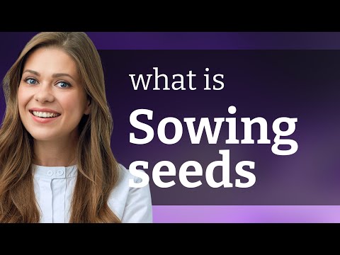 Sowing Seeds of Knowledge: Master English Phrases