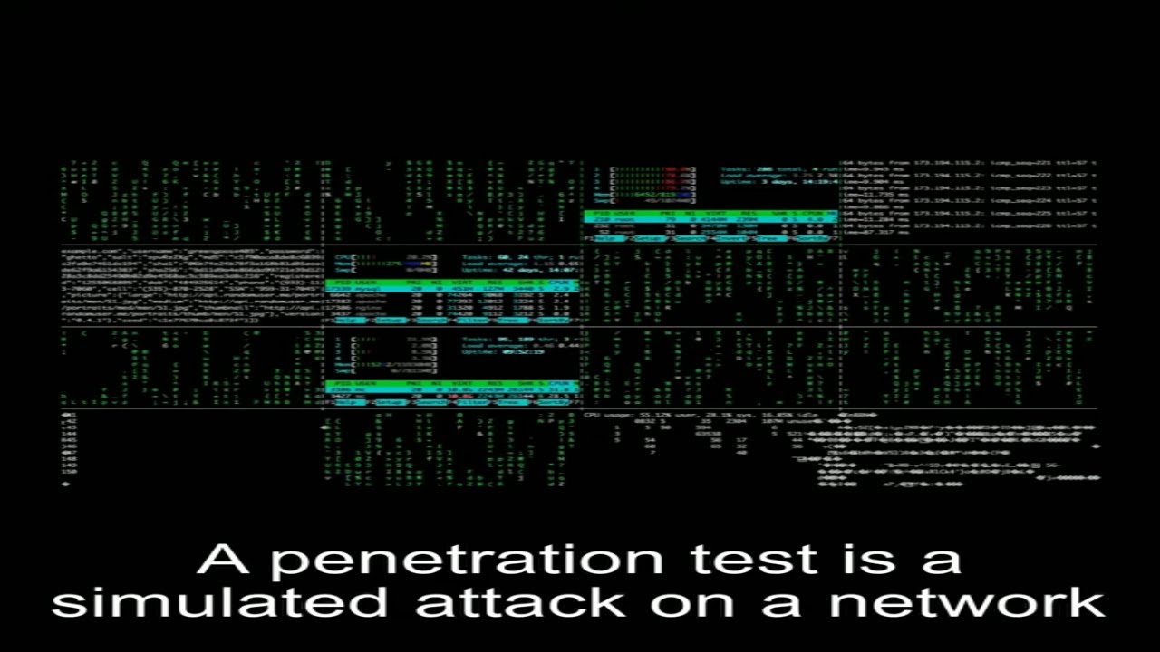 Penetration Test vs Vulnerability Scan vs Risk Assessment vs Audit/ Vulnerability Assessment?