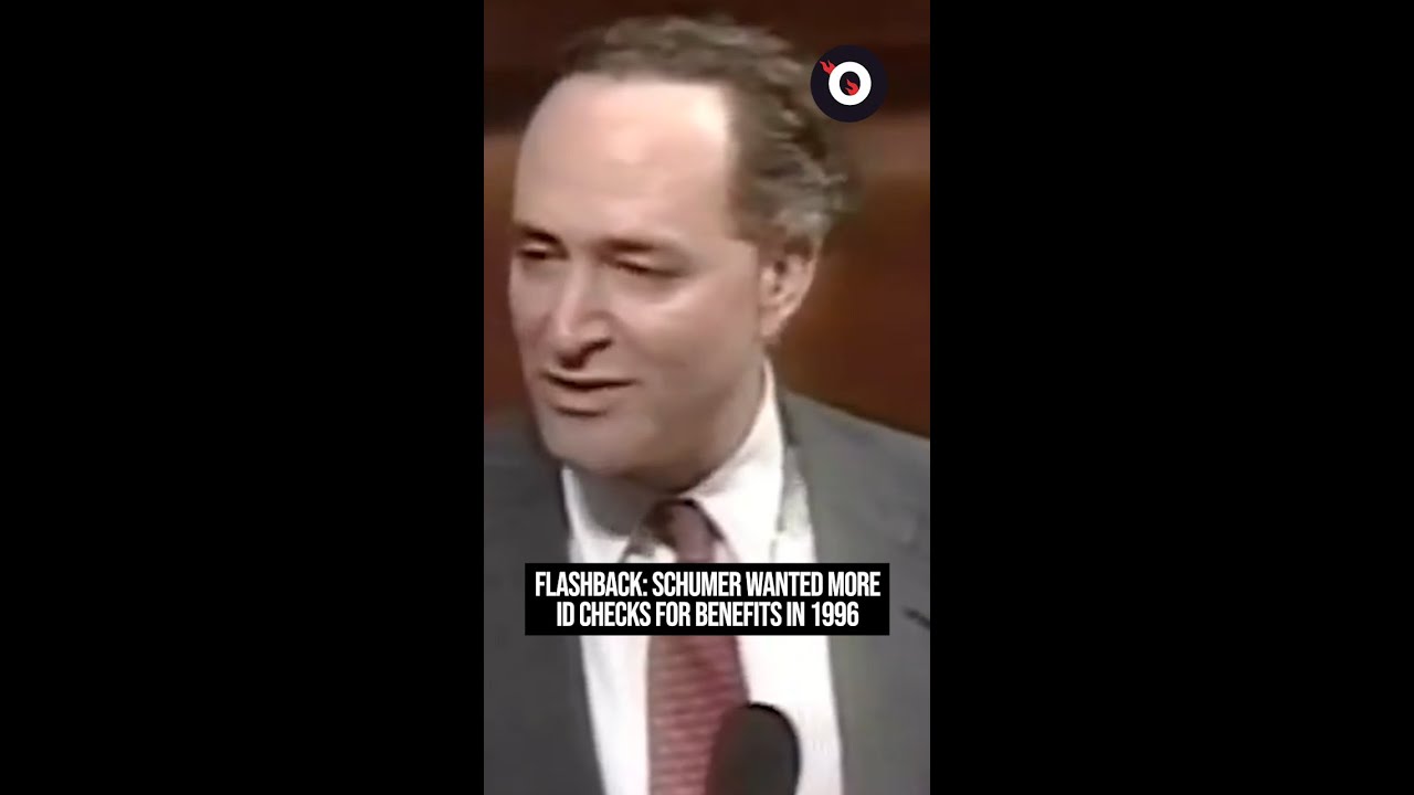 Flashback: Schumer pushed ID card checks in 1996
