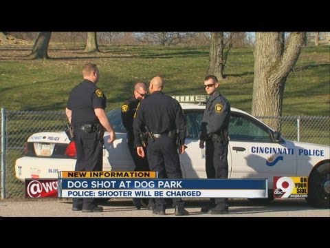 Police say man shot dog at dog park