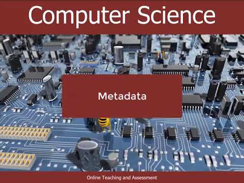 Metadata