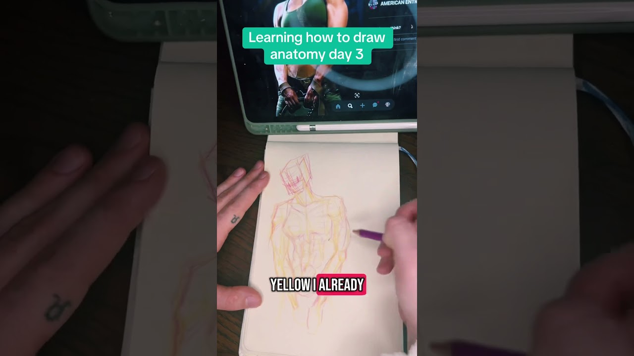 Learning to draw anatomy day 3! Beginner friendly anatomy tutorial #sketchings #artclass