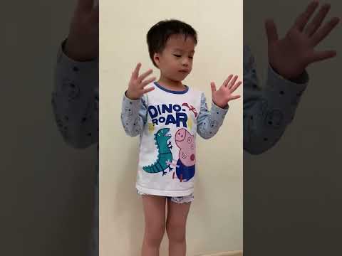 Learning Dialects in Singapore - Recite Chinese Zodiac in Hokkien