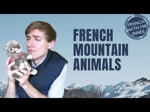 FRENCH MOUNTAIN ANIMALS // Learn French Basics Day 28 - for beginners and kids