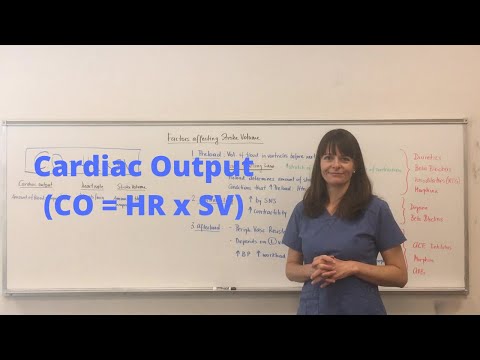 Cardiac Output (CO = HR x SV)