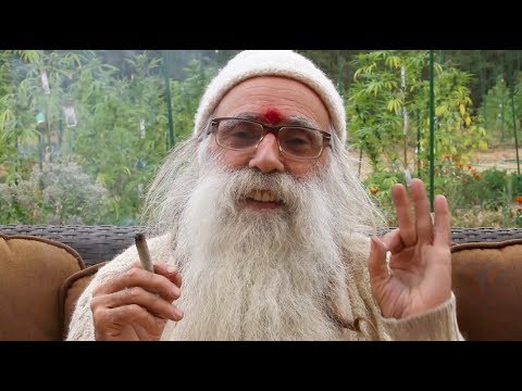 How to Roll a Joint : Swami Select – Swami Select