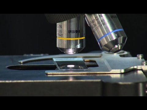 Researchers may have found a way to switch off auto-immune diseases