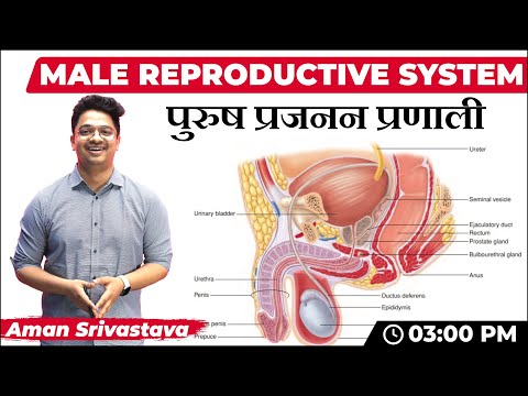 Male Reproductive System (नर प्रजनन प्रणाली) | All Govt Exams | Biology Special Class by Aman Sir