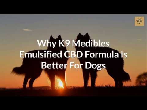 K9 Medibles Canine Support Formula [SHOP NOW] https://shop.k9-medibles.com/